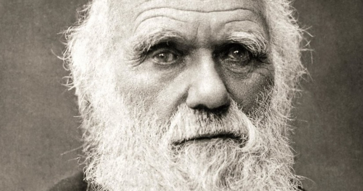 Charles Darwin titkos élete - 7 dolog, amit nem tudtál az evolúció ...