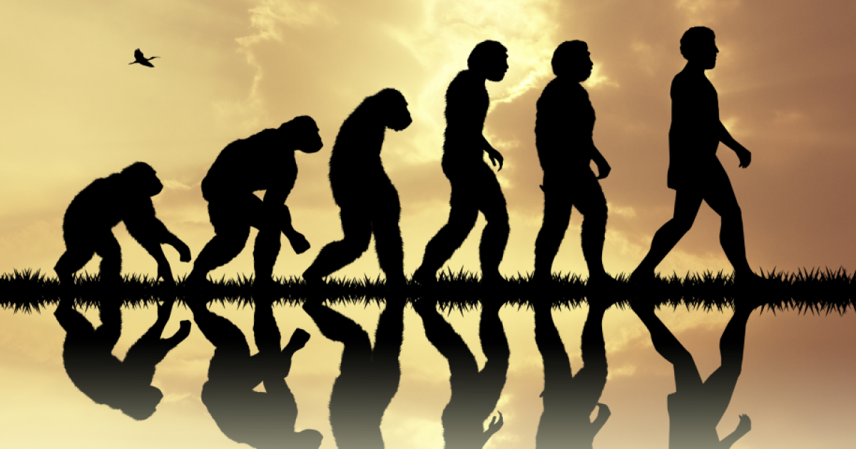 Megtalálhatták az evolúció hiányzó láncszemét: 375 millió évet kell ...