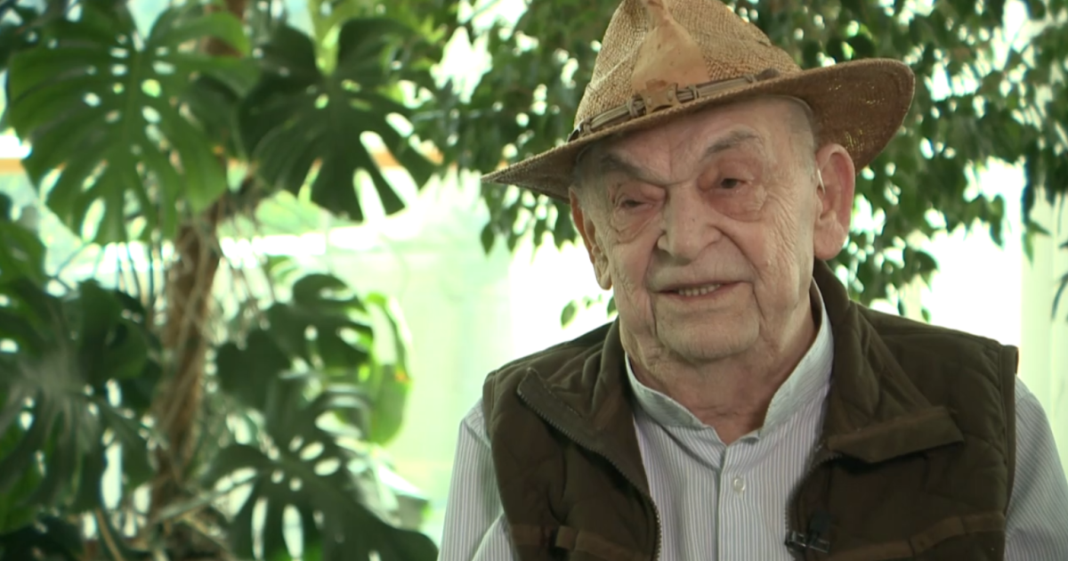 Így néz ki most Bodrogi Gyula szerelme, aki mindenben támogatja a ...