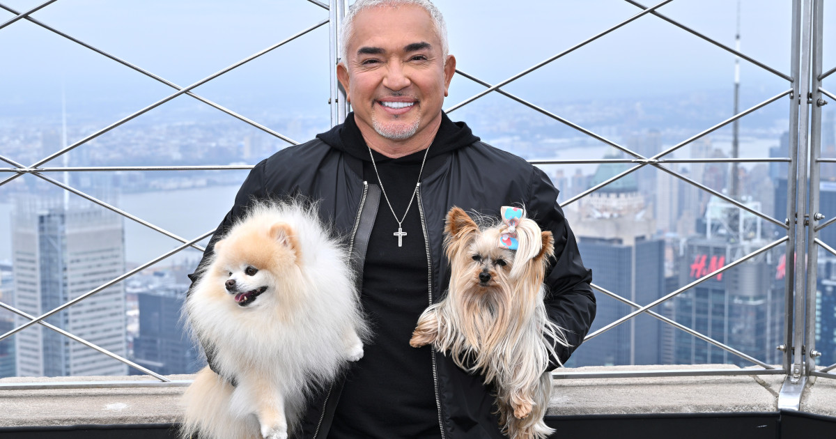 Cesar Milan szerint megmentheted a házasságodat, ha úgy kommunikálsz ...